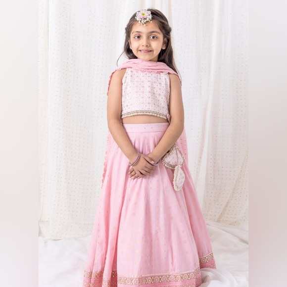 Matching Sets | Nwt Childrens Girls Lehenga And Choli Set | Poshmark